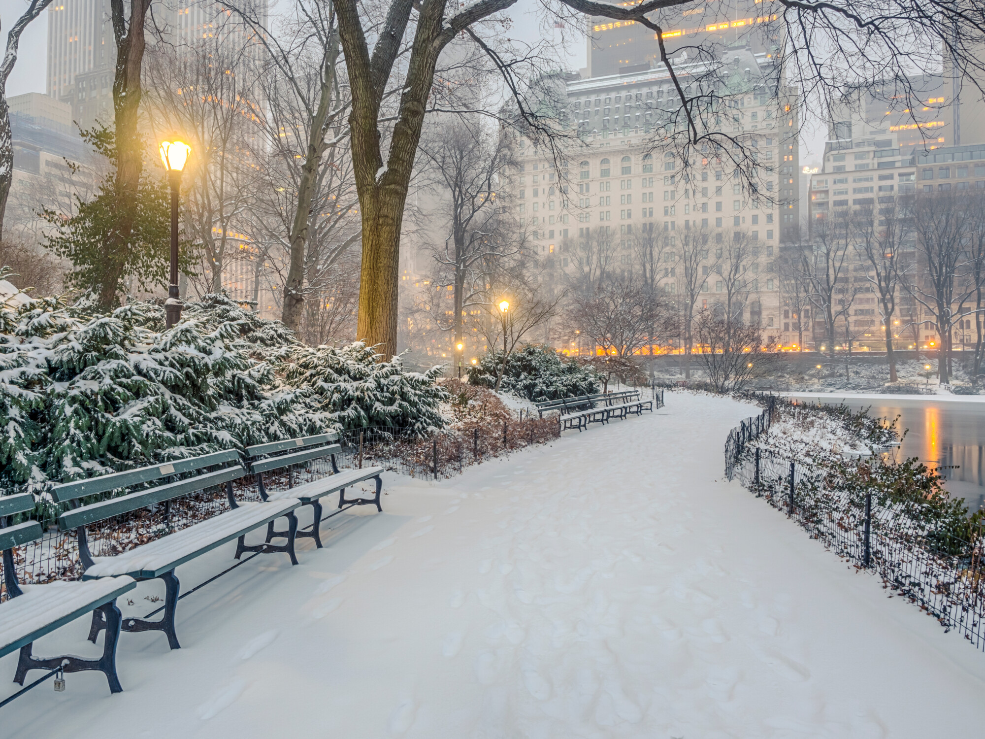 7 Things to Do in NYC During the Winter | ELIKA New York